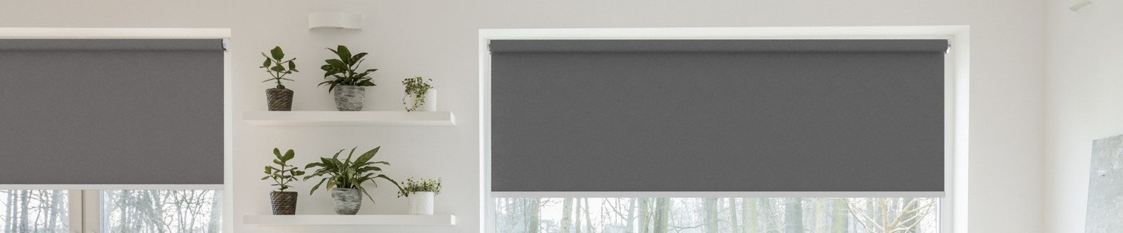 Store discount intérieur sur-mesure